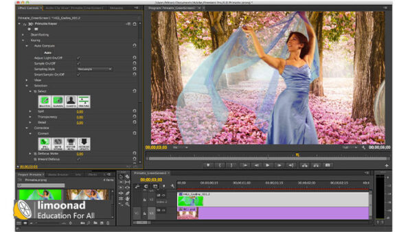 معرفی 10 پلاگین برتر پریمیر | بلاگ لیموناد